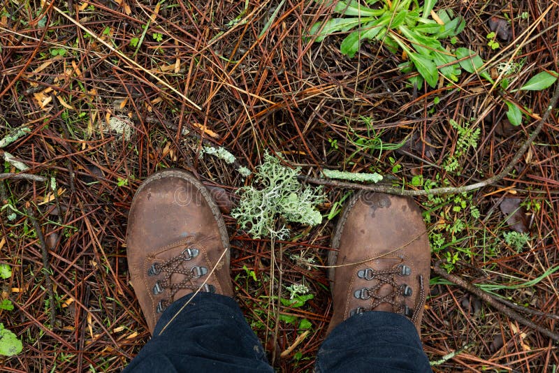 View from Above of Hiking Boots Treading on the Forest Stock Photo ...