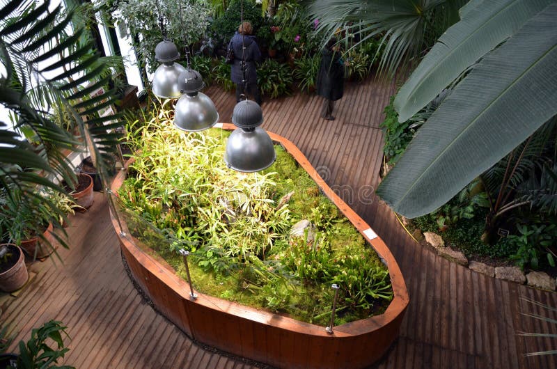 View above stock image. Image of plants, hunter, view - 93849037