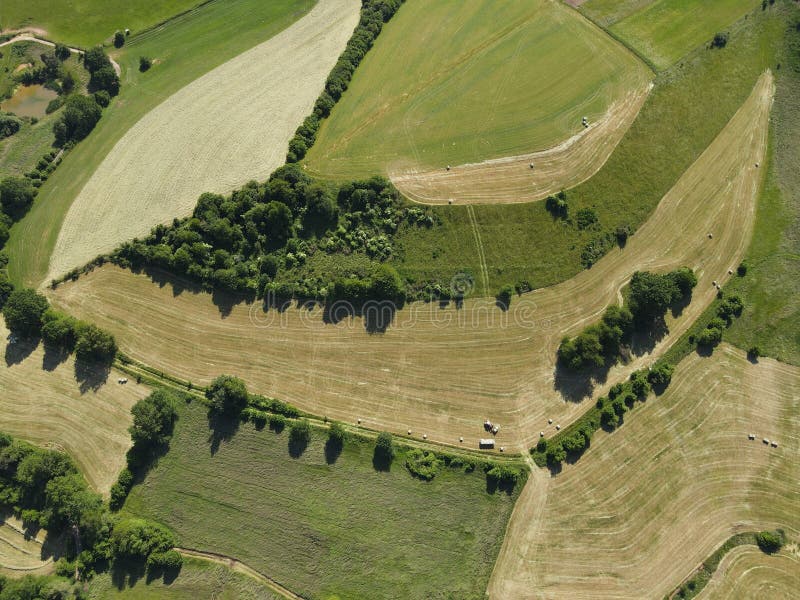 View from Above of a Landscape with Mowed Grass Fields and Trees in ...