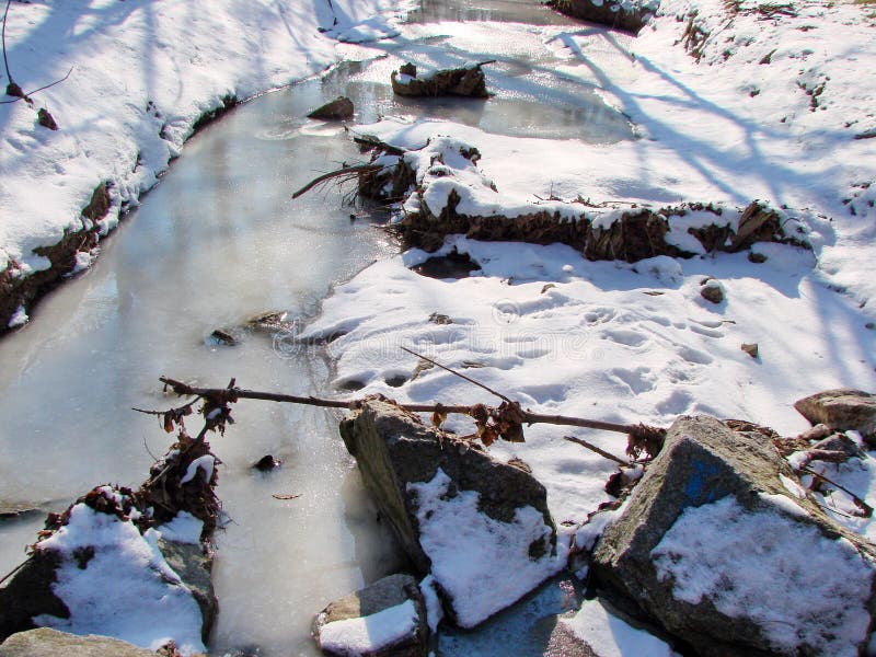 Landscapes of the Dnieper Forest and Dnieper Panoramas from Coastal ...