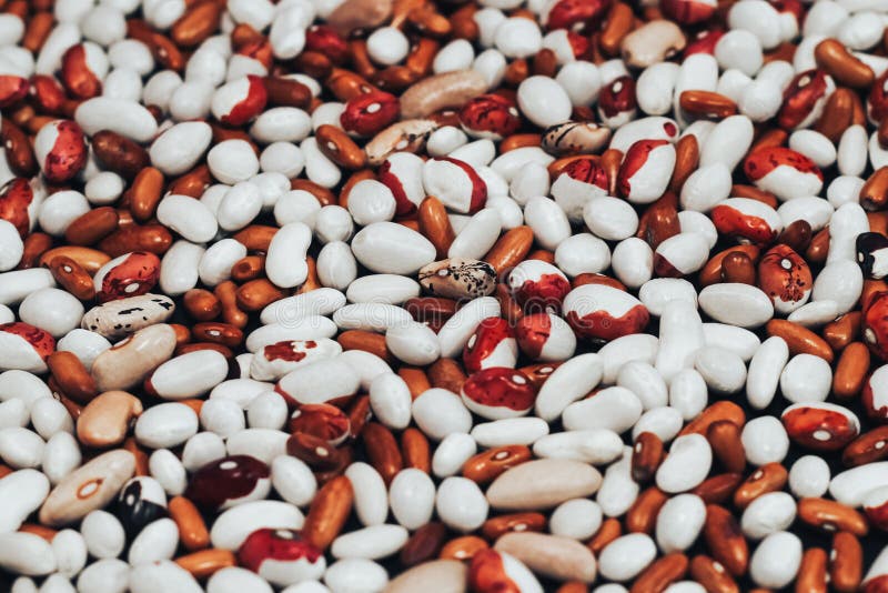 View from Above. Multi-colored Beans Scattered on a Black Background ...