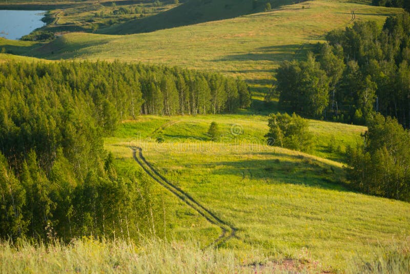 View from above stock photo. Image of meadow, little - 255736782