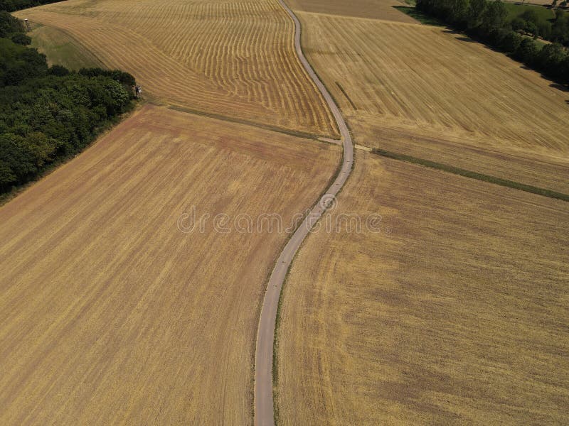 View from Above of a Pathway between Mowed Grain Fields and Wheatfields ...