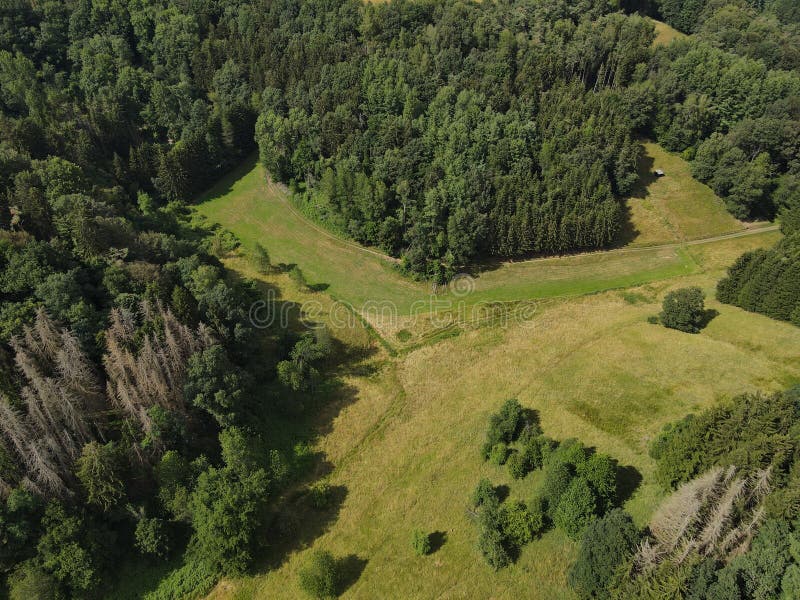 View from Above of Trees in the Forest with a Grassfield in the Middle ...