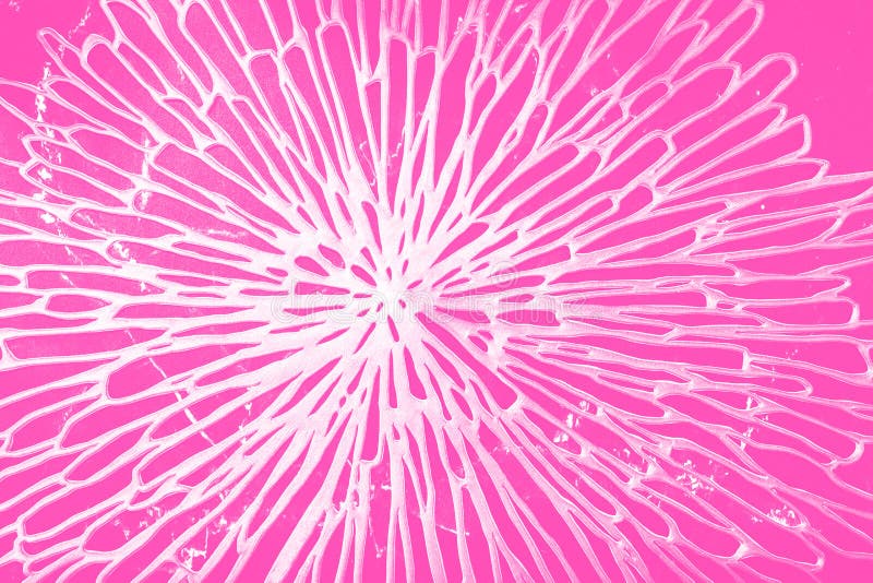 Pink, Abstract, Burst, Design, Background Stock Illustration ...
