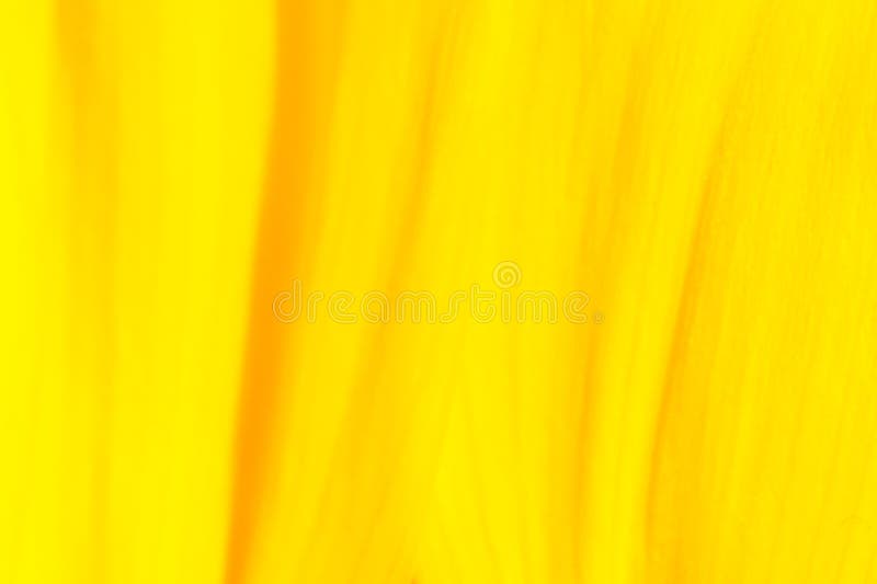 Abstract Intense Yellow Color Orange Curve Lines Background Stock Photo ...