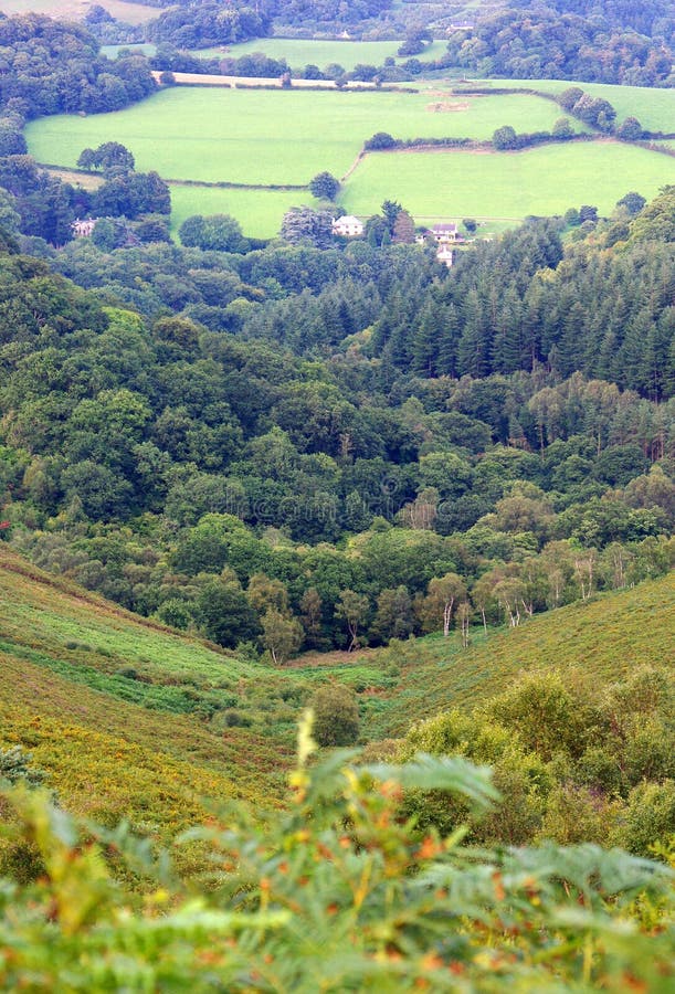 View Across Devon Countryside Stock Image - Image of trees, view: 6064237
