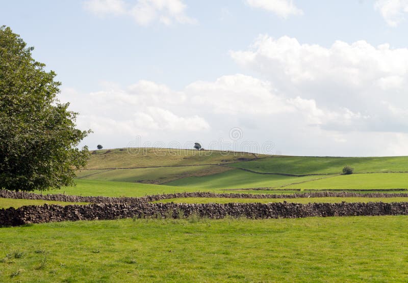 A view across the field stock photo. Image of hill, green - 32751940