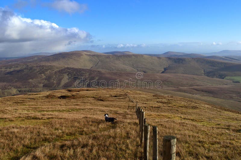 View Across the Sperrin Mountains with County Line Stock Photo - Image ...