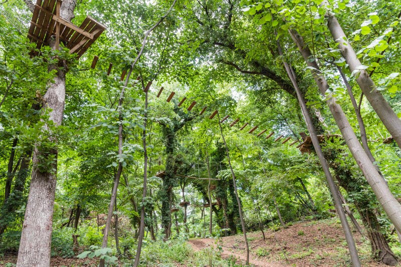 View of the Adventure Park with Obstacles on the Trees. Stock Photo ...