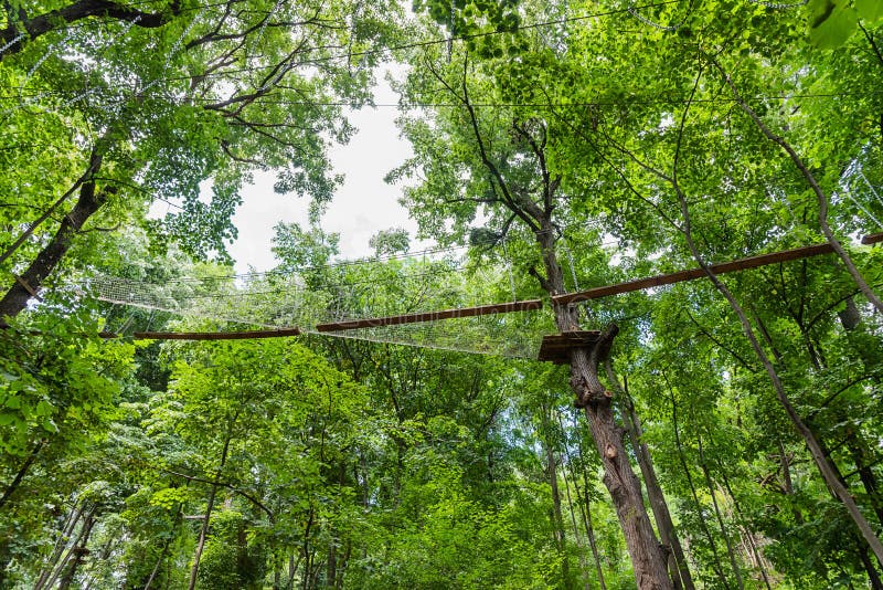 View of the Adventure Park with Obstacles on the Trees. Stock Photo ...
