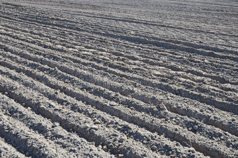 View Of Agricultural Field Which Is Sown Stock Image Image Of Detailed Composition 128030481