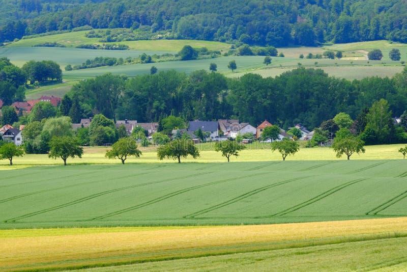 View on the Agricultural Fields with Grain in Germany Stock Image ...