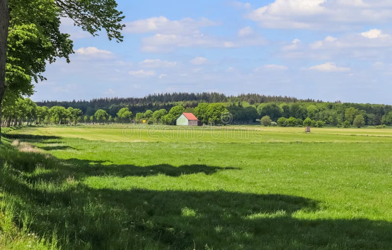 View of an Agriculturally Used Field with Green Grass Stock Image ...