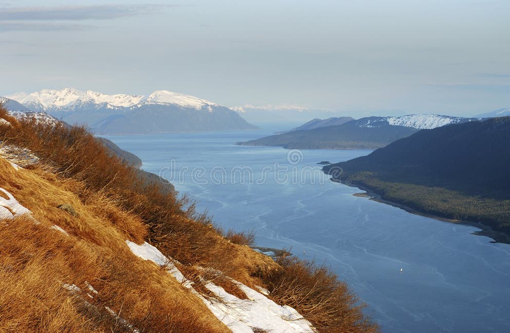The View of Alaska stock photo. Image of view, river, alaska - 2803196