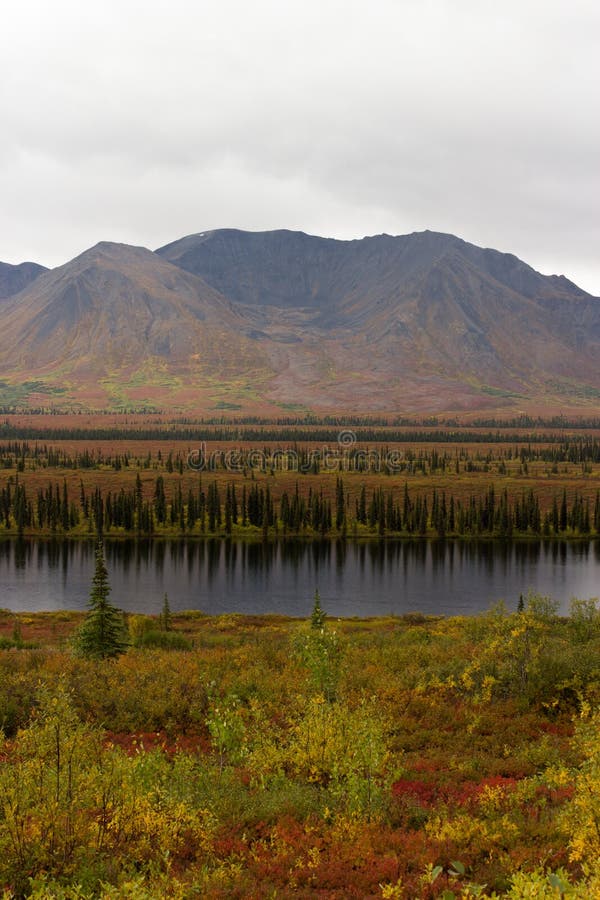 Alaskan fall. stock photo. Image of denali, prince, park - 53195014