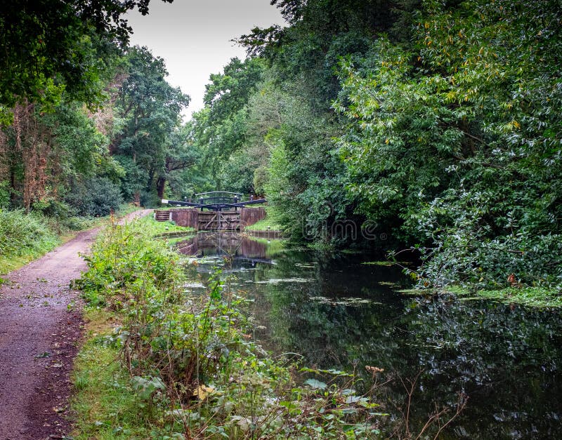Canal side walk stock photo. Image of peaceful, trees - 208335658