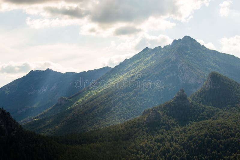 View of Alpine Forest on Mountainside in Kazakhstan Stock Image - Image ...