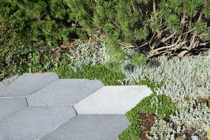 View of the Alpine Slide and Pavement Tiles Lined with Geometric ...