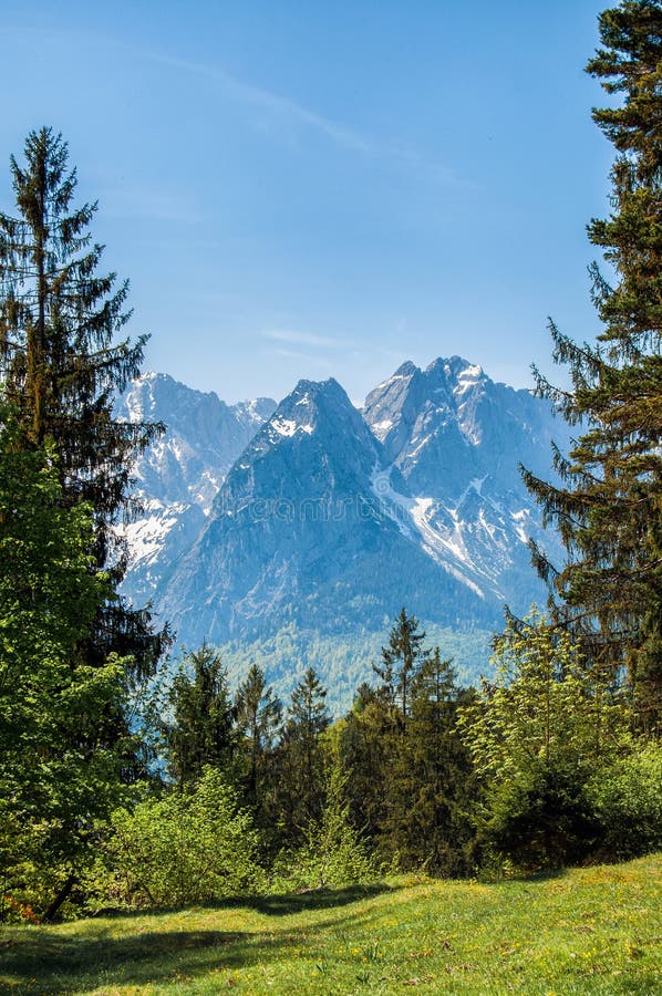 View of the Alps through the Forest Stock Photo - Image of environment ...
