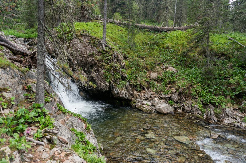 View of Altay stock image. Image of scenery, nature, forest - 72389019