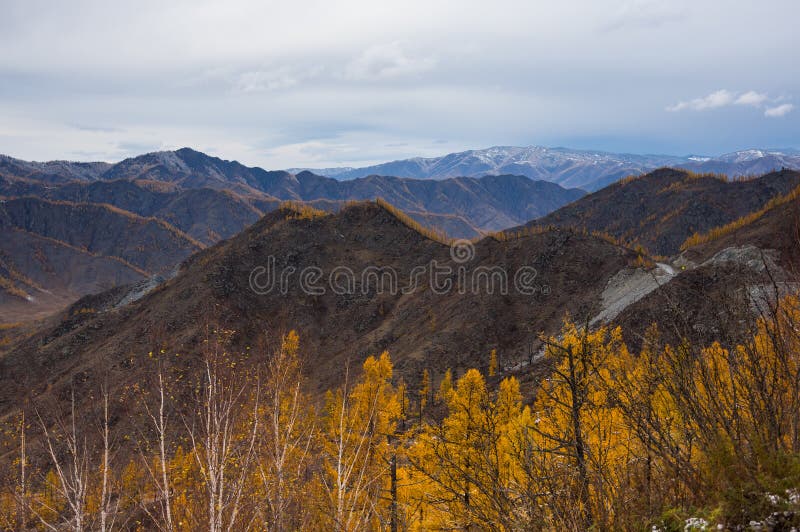 View of Altay mountains stock photo. Image of scenery - 261147528