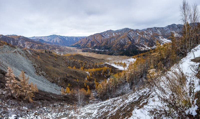 View of Altay mountains stock image. Image of larch - 261147531