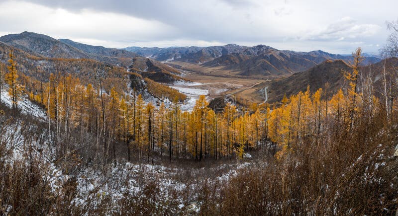 View of Altay mountains stock photo. Image of landscape - 266547560
