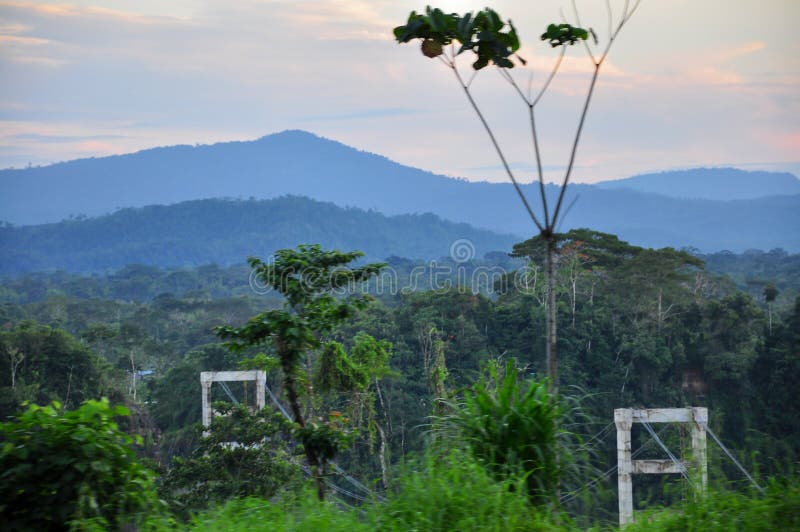 View of the Amazon Region stock photo. Image of view - 142077090