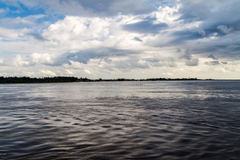 Amazon river in Brazil stock image. Image of nature - 131791569