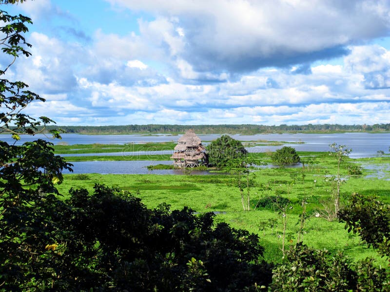 The View of Amazon River in Iquitos, Peru Stock Image - Image of tree ...