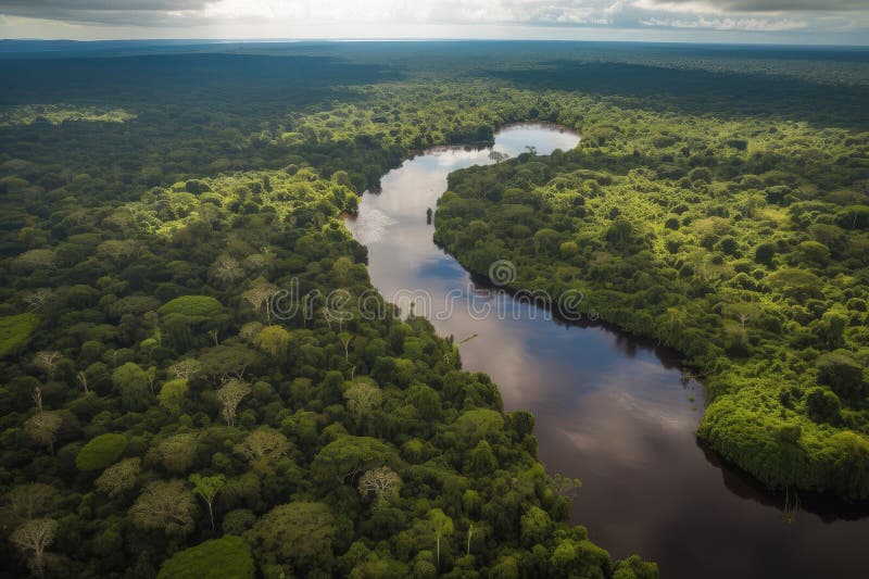 View of the Amazonas, with a View of the River and Its Tributaries ...