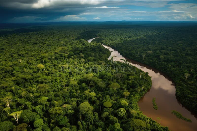 View of the Amazonas, with a View of the River and Its Tributaries ...