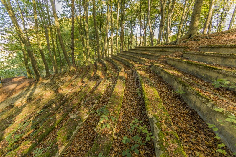 View of an Ancient Amphitheater in the Middle of the Forest Stock Image ...