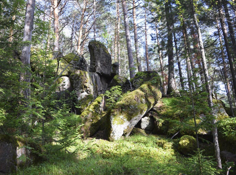 View of the Ancient, Large Stones in the Forest. Stock Image - Image of ...