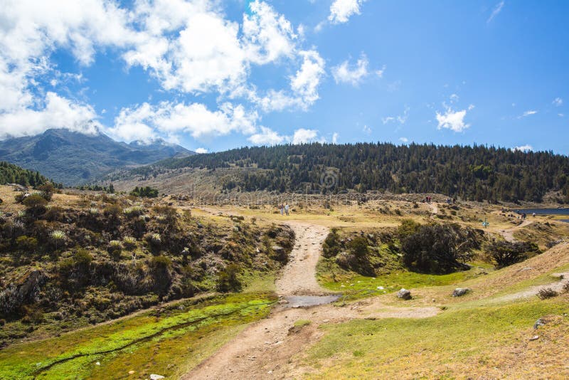 View of the Andes Mountains Stock Image - Image of travel, mountains ...