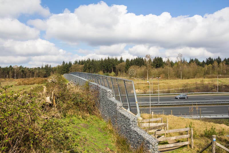 Wild Bridge (Green Bridge) Over Highway Stock Image - Image of boar ...