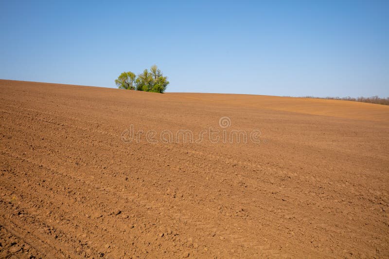 View of the Arable Field on a Sunny Day Stock Photo - Image of farmland ...