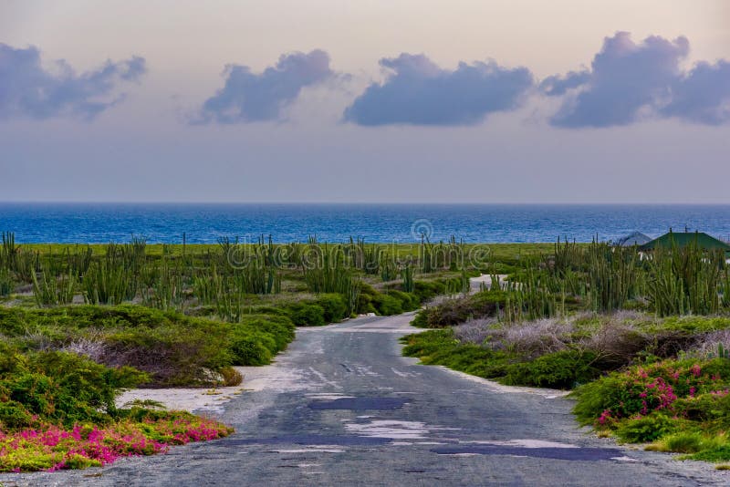 Aruba Landscape stock image. Image of clouds, aruba, island - 41093107