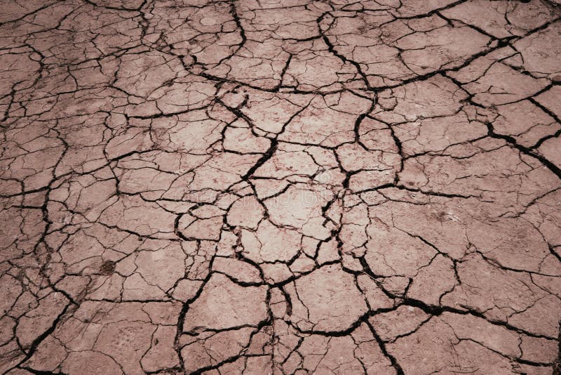 Arid soil in Africa stock photo. Image of poor, desert - 176585586