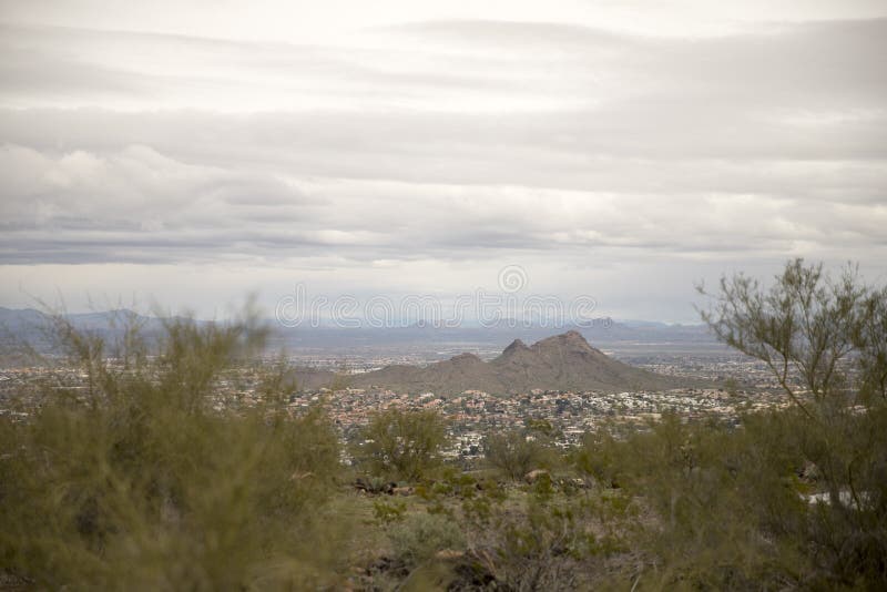 View of Arizona Mountains through Greenery Stock Photo - Image of cacti ...