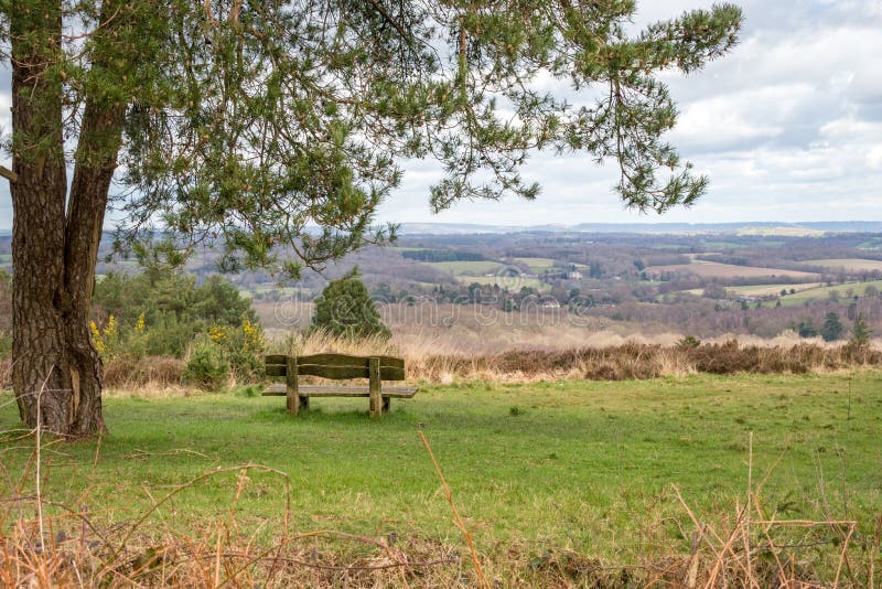 View of the Ashdown Forest on a Sunny Spring Day Stock Image - Image of ...