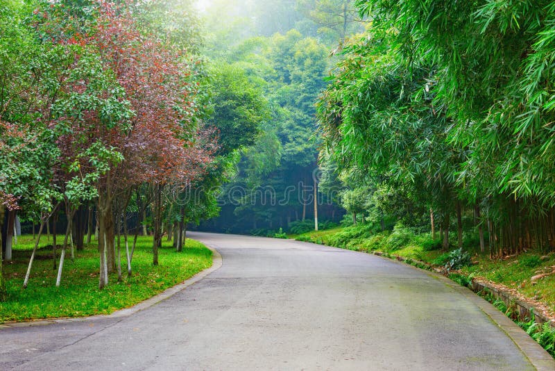 View of the Asphalt Road in the Park. Stock Image - Image of asia ...
