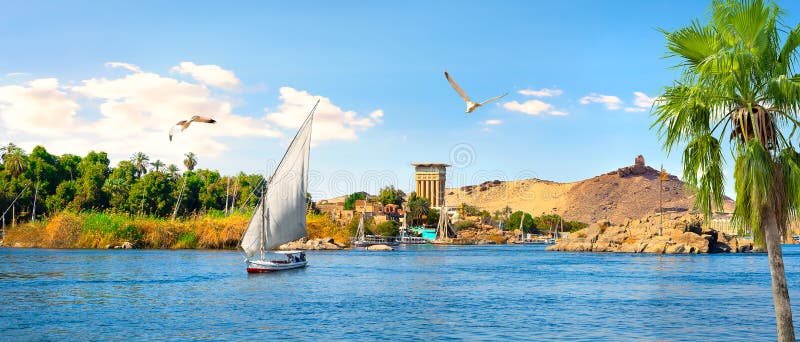 View of Aswan stock photo. Image of sunset, island, egyptian - 215819206