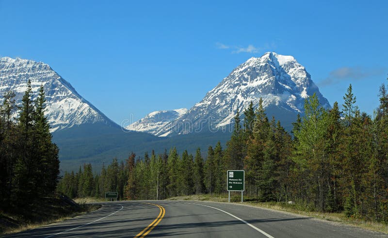 View at Athabasca Pass from Icefield Parkway Stock Image - Image of ...