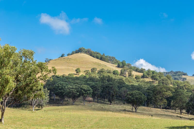 View of the Australian Countryside in the Upper Hunter Valley, NSW ...