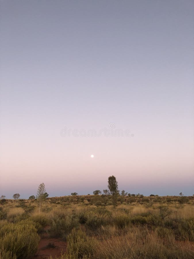 View of Australian Desert stock photo. Image of sunset - 249026986