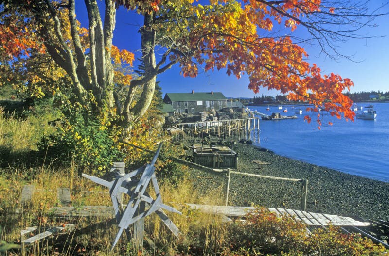 View of Autumn Coastline in New Harbor, ME Editorial Image - Image of ...