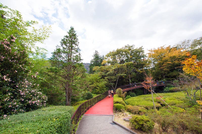 View of the Autumn Landscape in the Park, Hanoke, Japan. Copy Space for ...