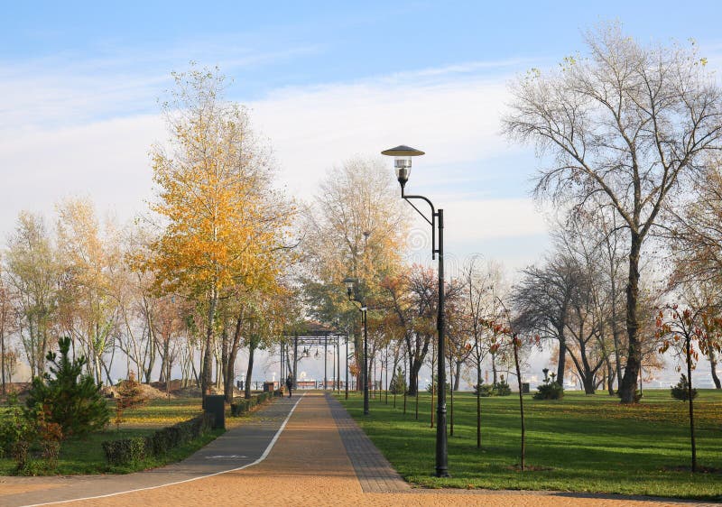 View of autumn park stock photo. Image of botany, park - 151338280